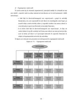 Structuri Organizatorice în Management Curs DOC