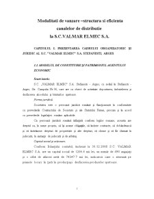 Modalități de Vânzare - Structura și Eficiența Canalelor de Distribuție ...