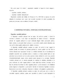 Raport de Expertiză Contabilă - Extrajudiciară | Proiect [DOC]