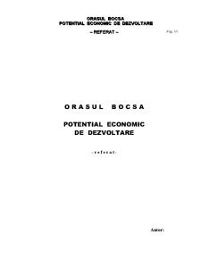 Orașul Bocșa - Potențial Economic de Dezvoltare | Referat [DOC]