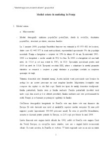 Mediul Extern de Marketing în Franța | Referat [DOC]