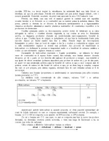 Combustibili Lichizi | Referat [DOC]