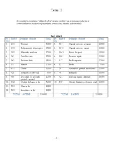 Bilanțuri, Conturi Sintetice și Analitice și Monografie Contabilă ...