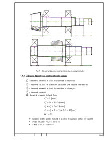 Reductor Conic cu Dinții Drepți | Proiect [DOC]