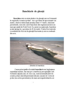Banchizele de Gheață și Icebergurile | Referat [DOC]