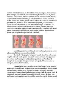 Sistemul Reproducător | Proiect [DOC]