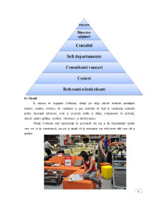 Dedeman | Proiect [DOCX]