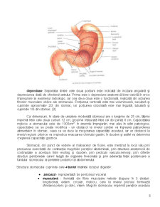 Rolul Asistentei Medicale în Îngrijirea Pacientului cu Ulcer | Licență ...