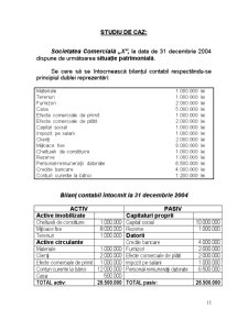 Bilanțul și Contul de Profit și Pierdere - Principii, Prezentare și ...