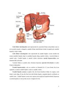Particularități de Îngrijire ale Bolnavilor cu Colecistă Cronică ...