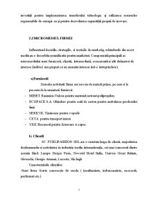 Descriere Firmă de Producție | Proiect [DOC]