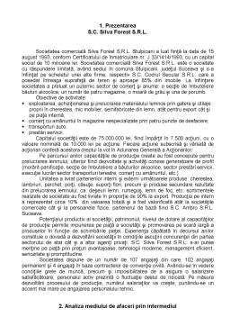 Studiu de Fezabilitate SC Silva Forest SRL | Proiect [DOC]
