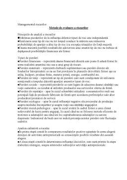 Managementul Riscurilor în Afaceri | Curs [DOC]