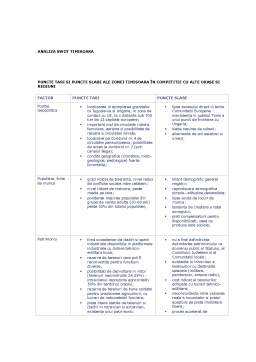 Puncte Tari și Puncte Slabe ale Zonei Timișoara | Referat [DOC]