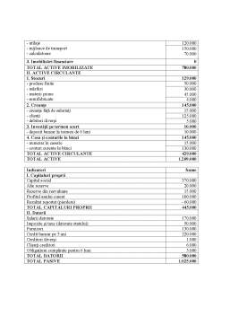 Bazele Contabilității | Seminar [DOC]