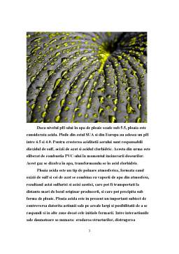 Ploaia Acidă | Referat [DOC]