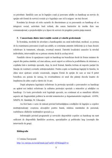 Analiza Persoanelor cu Handicap | Referat [DOCX]