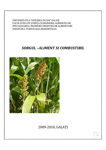 Sorgul - Aliment și Combustibil | Referat [DOC]