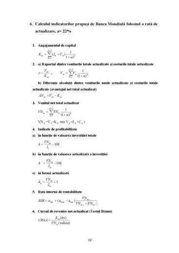 Studiu de Fezabilitate SC Betty Ice SRL | Proiect [DOC]