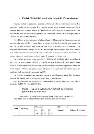 Idee de Afacere | Proiect [DOC]