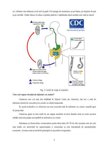 Oxiuroza - Enterobioza | Referat [DOCX]