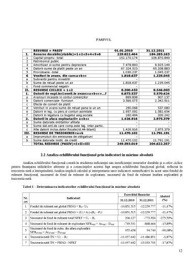 Raport de Diagnostic Economic | Proiect [DOC]