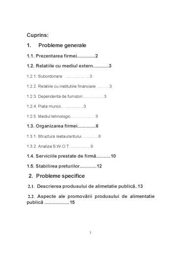 Practică Cafenea | Proiect [DOC]