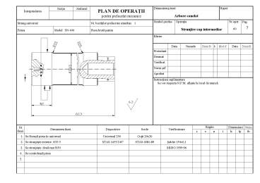 Arbore Canelat: Proiect [DOC] - Organe de mașini
