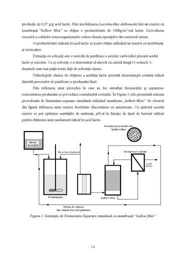 Acidul Lactic | Proiect [DOC]