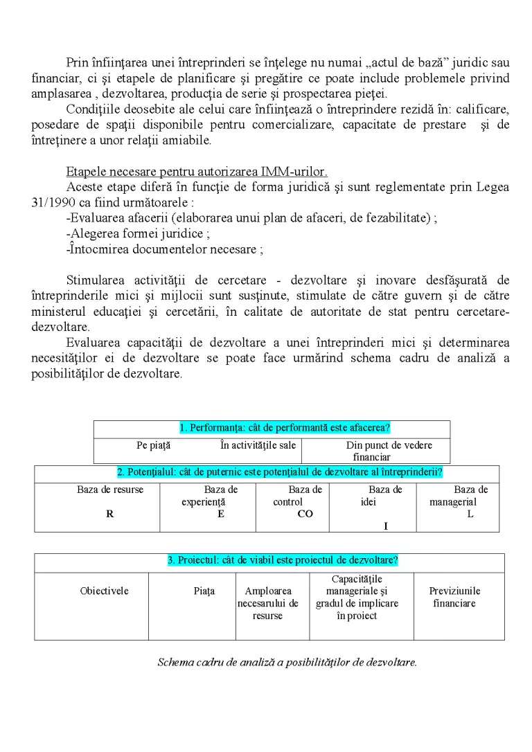 Întreprinderi Mici și Mijlocii - Referat - Economie #100912 | RegieLive