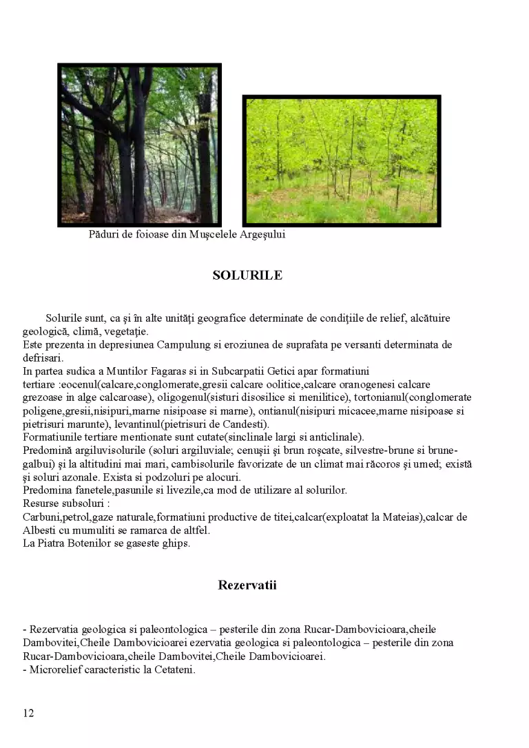 Soluri - Câmpulung Mușcel - Proiect - Geografie #108558 | RegieLive