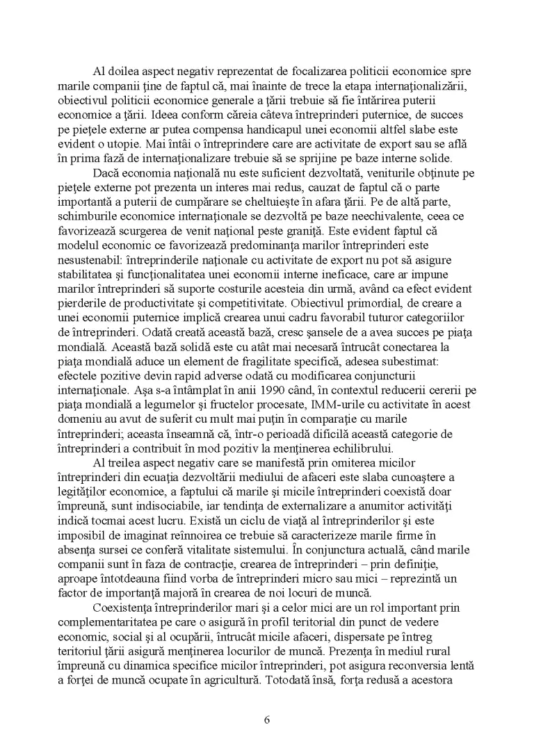 Întreprinderi Mari versus Firme Mici și Mijlocii - Referat - Management ...