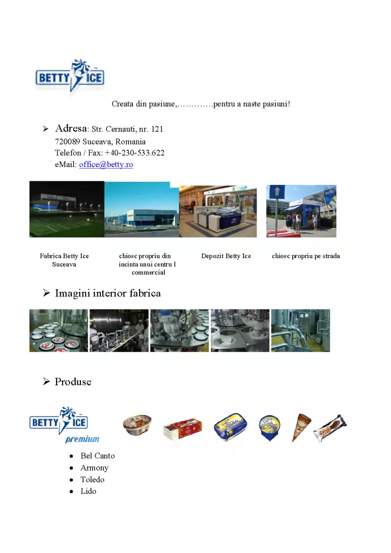 Analiza Sectorului de Mmarketing la SC Betty Ice - Proiect - Marketing ...