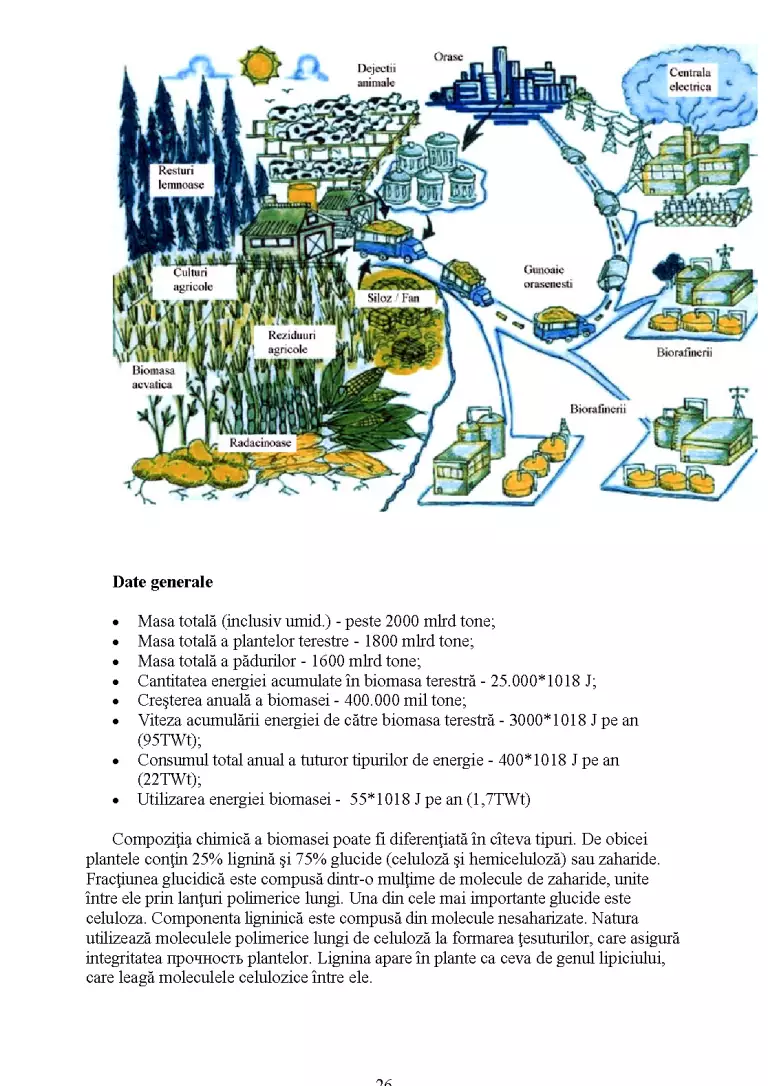 Muștarul - procesul tehnologic - Referat - Industria Alimentară #152390 ...