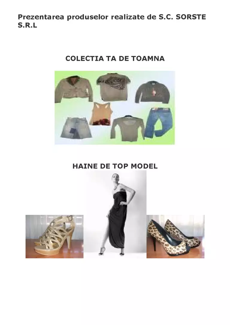 Prezentarea unei Firme - SC Sorste SRL - Referat - Știința ...