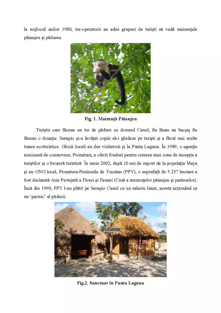 Ecoturism Regiuni Mexicane - Proiect - Geografie #168942 | RegieLive