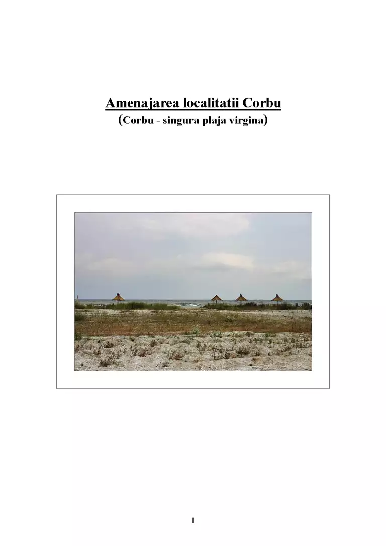 Comportamentul consumatorului - amenajare plaja Corbul - Proiect ...