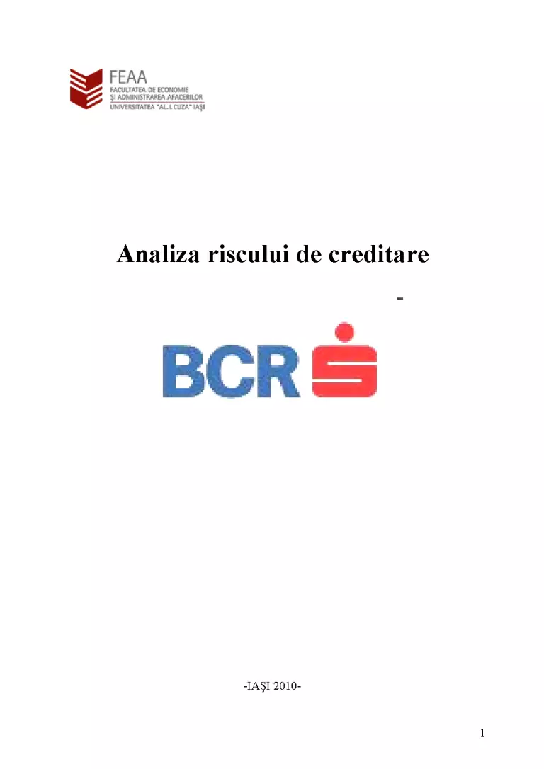 Analiza Riscului de Creditare - BCR - Proiect - Economie #175024 ...