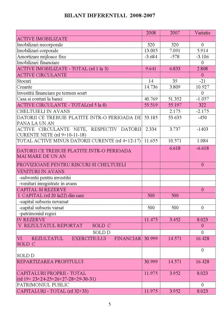 Tabloul Fluxurilor de Trezorerie - Proiect - Contabilitate #179458 ...
