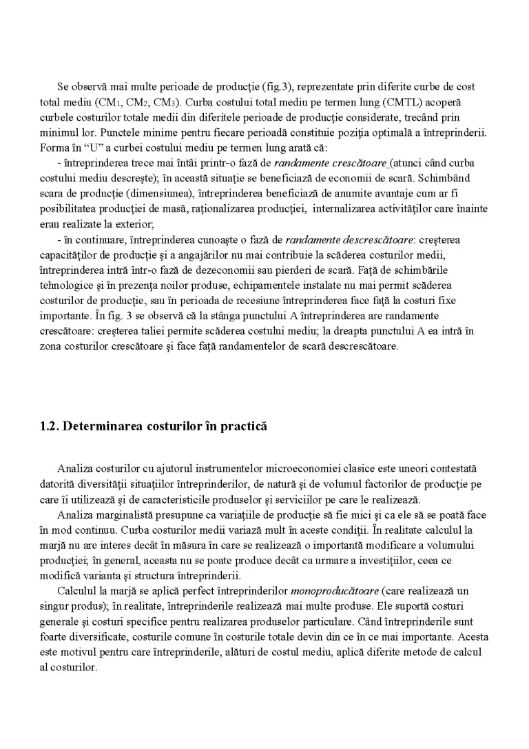 Costurile de producție la SC Vitas SRL - Referat - Management #181423 ...