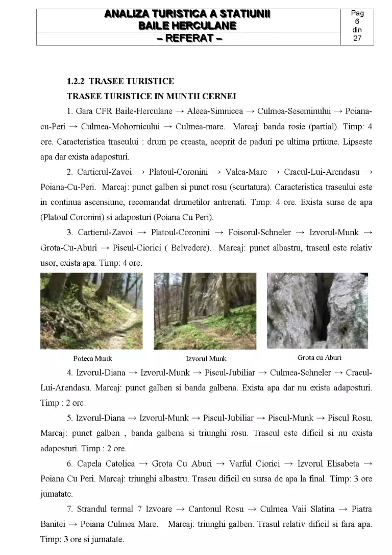 Analiza turistică a stațiunii Băile Herculane - Referat - Turism ...