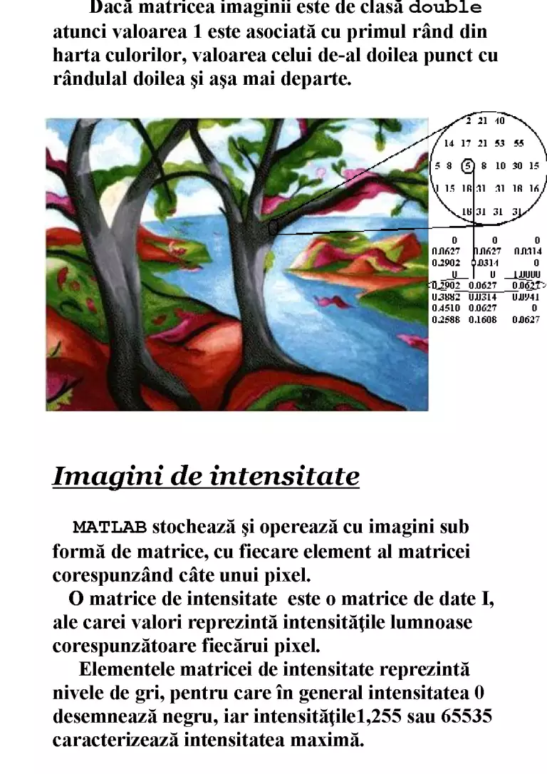 Tipuri de imagini în MatLab - Referat - Grafică Computerizată #186264 ...