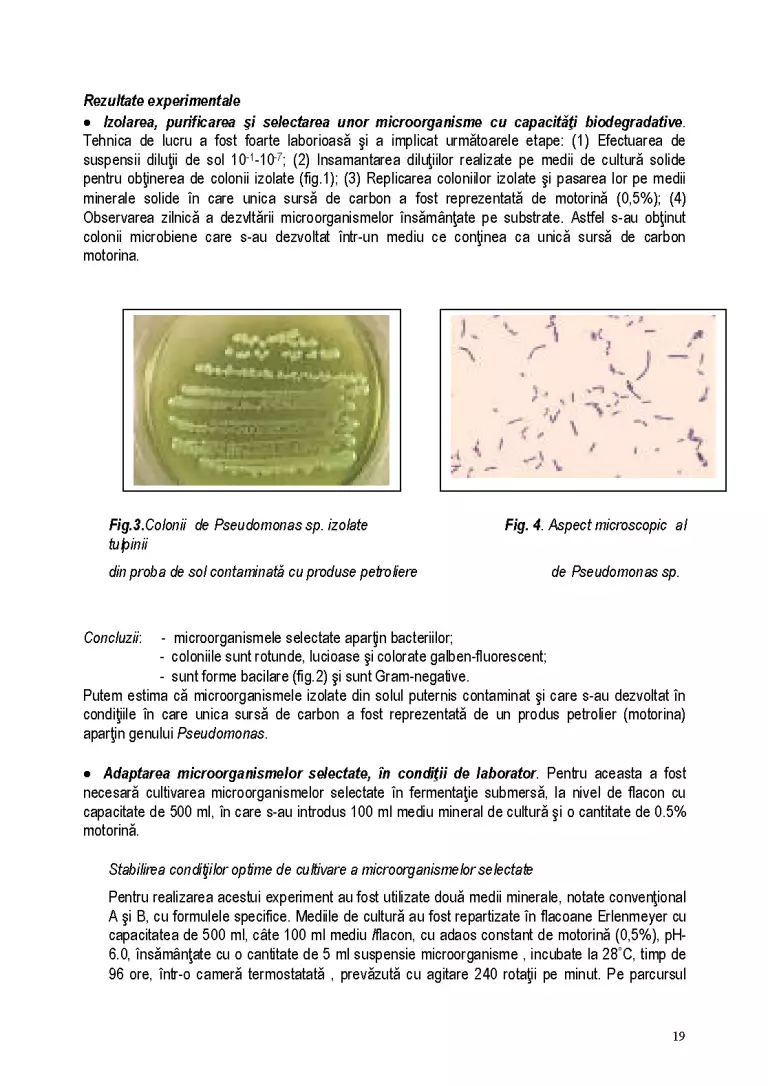 Depoluarea Solului Contaminat cu Produse Petroliere - Proiect ...