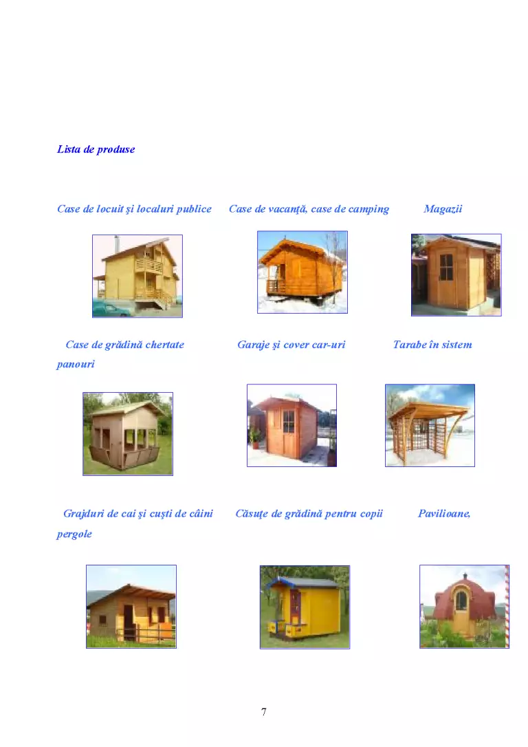 Prezentarea de Ansamblu a Firmei SC Ergio Prod SRL - Proiect ...
