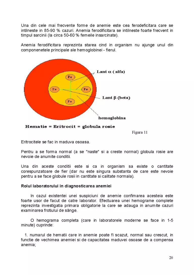 Importanța fierului în sisteme biologice - Proiect - Chimie Organică ...