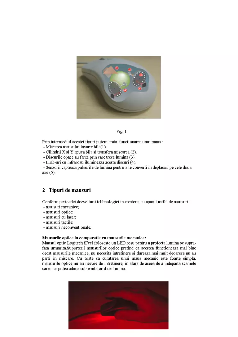 Mouse - ul - Referat - Grafică Computerizată #220687 | RegieLive