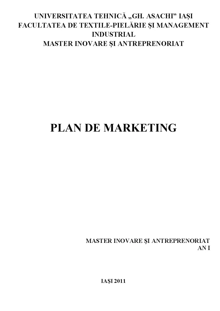 Deschiderea unei Firme de Web Design - Proiect - Marketing #221253 ...