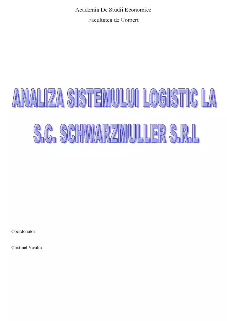 Analiza Sistemului Logistic la SC Schwartzmuller SRL - Referat ...