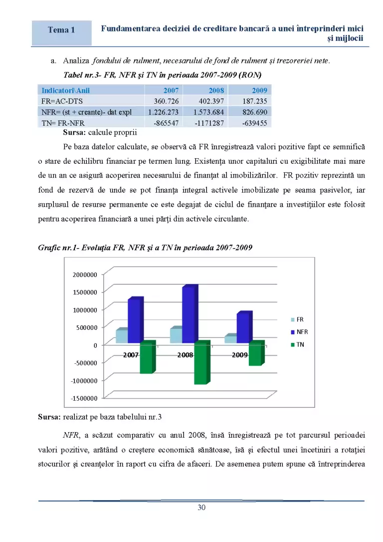 Fundamentarea deciziei de creditare bancară a unui IMM - Referat ...