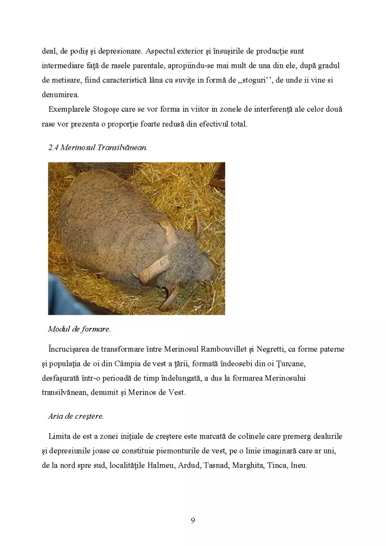 Proiectarea unui Abator de Ovine - Proiect - Industria Alimentară ...